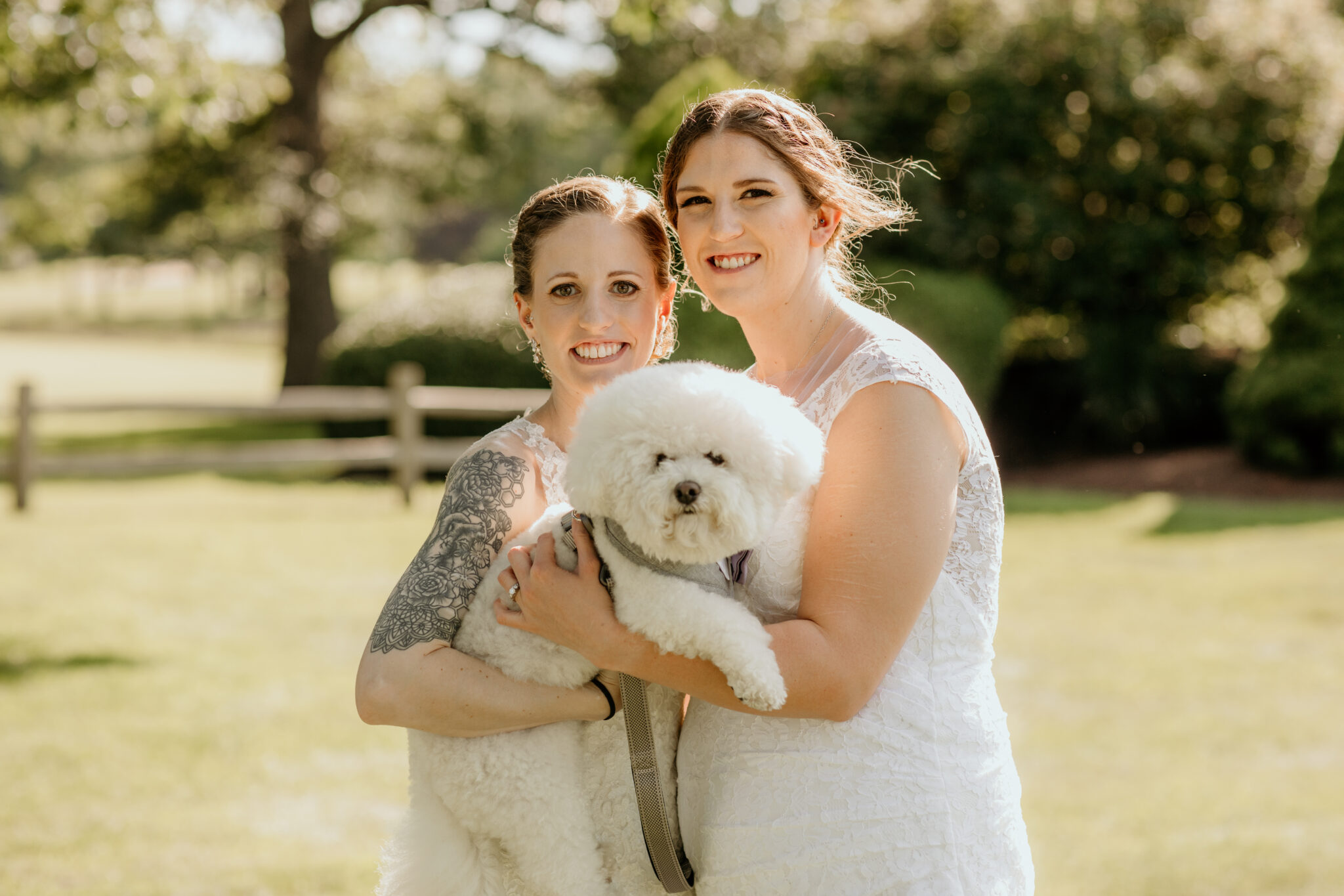 Dogs at Weddings: Dos, Don'ts, & Adorable Photos 🐶