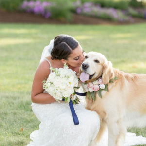 Dogs at Weddings: Dos, Don'ts, & Adorable Photos 🐶